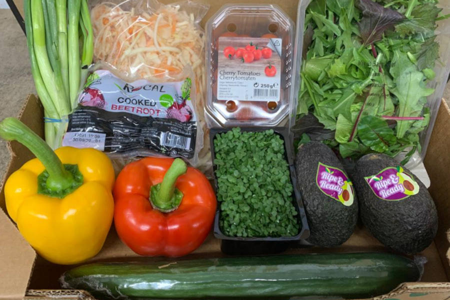 Salad Box – The Fruit Basket Shop