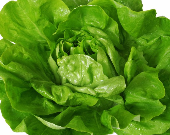 Lettuce Flat – The Fruit Basket Shop