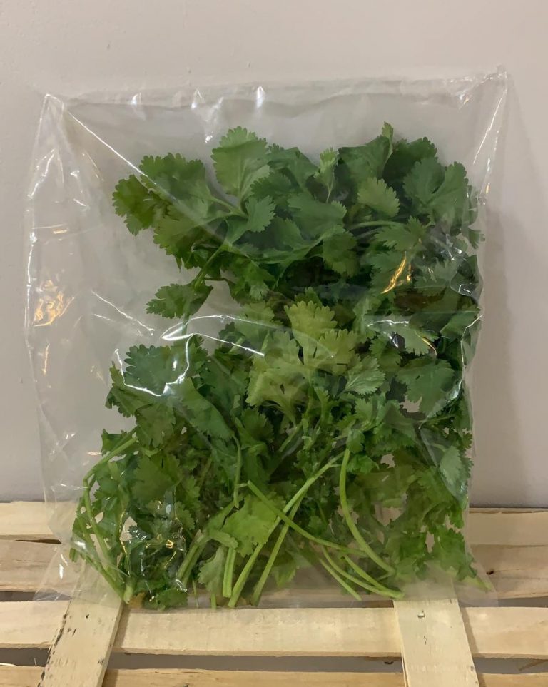 Fresh Coriander 50g – The Fruit Basket Shop